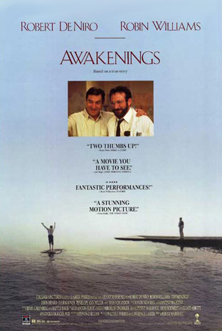 Robin Williams Movie Posters