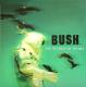 Bush poster: The Science of Things vintage promo album flat (1999)